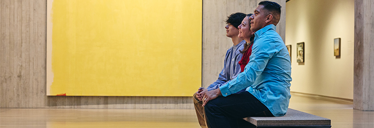 Clyfford Still Museum